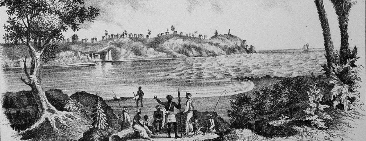 The American Colonization Society's plans for abolishing slavery | OUPblog